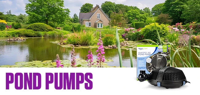 Pond Pump Problems Explained for Beginners - LandscapeSupplyGuys.com